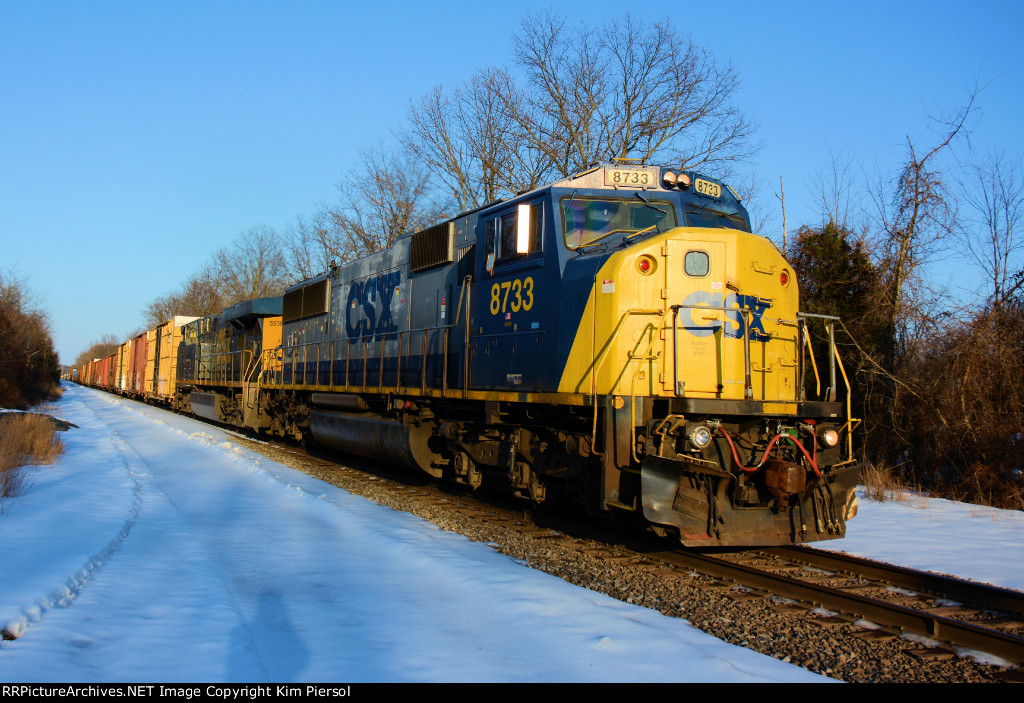 CSX 8733 Q439